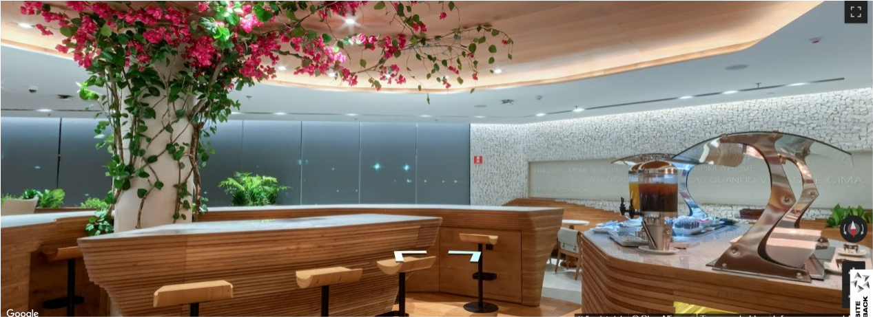 Por US$55, Star Alliance amplia acesso ao Lounge Galeão para todos os ...